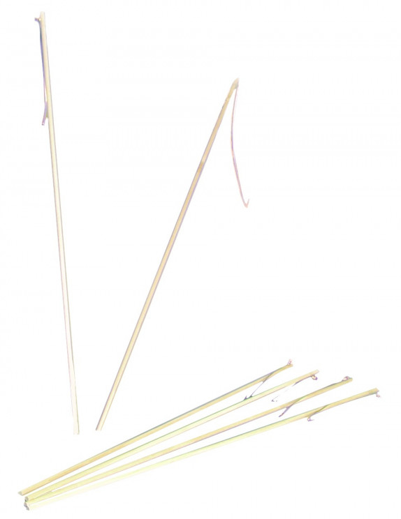 Baton lanterne - Vegaooparty